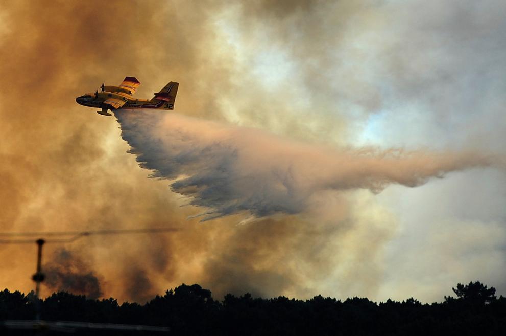 Forest fires / Wildfires | UCP Knowledge Network